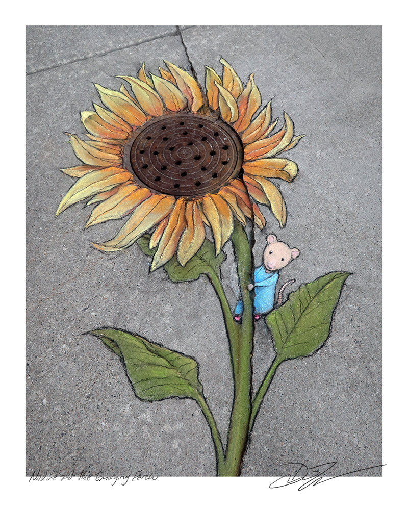 Flowers – street art by david zinn